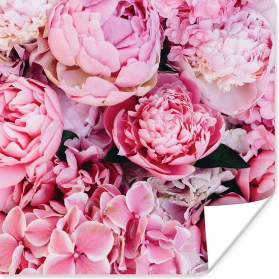 Poster Bloemen - Roze - Rozen - 50x50 cm | bol