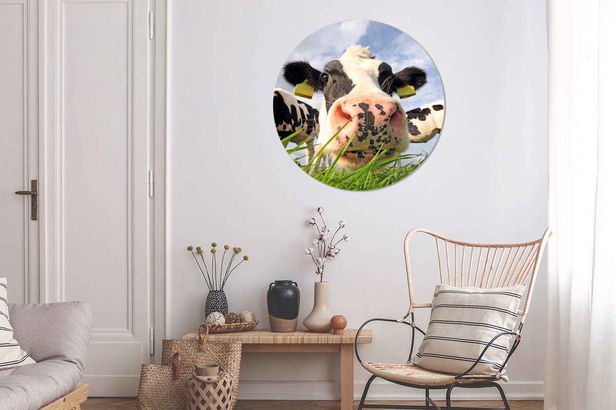 WallCircle - Muurstickers - Behangcirkel - Koeien - Gras - Wolken - 100x100 cm -... | bol.com