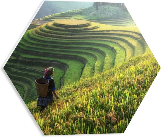WallClassics - PVC Schuimplaat Hexagon - Persoon Werkend in Rijstveld ...