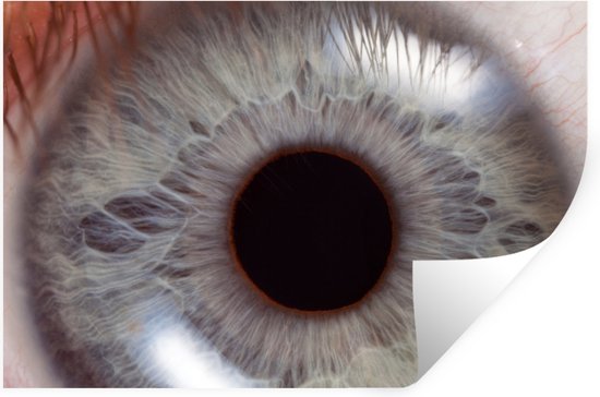 Muurstickers - Sticker Folie - Oog van dichtbij weergegeven - 120x80 cm ...