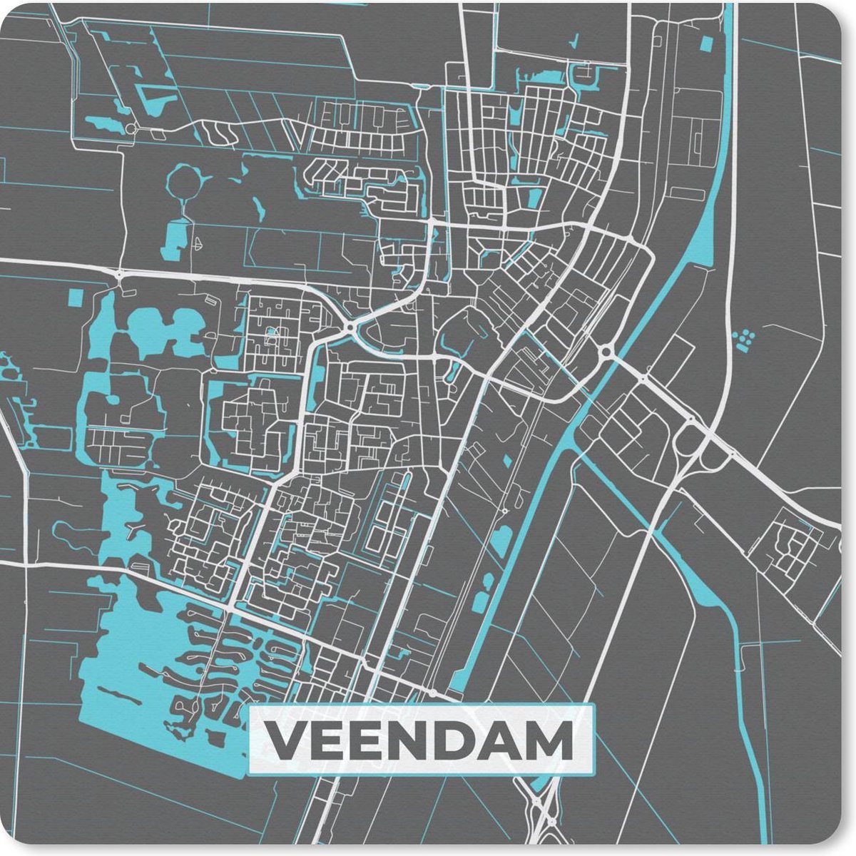 Stadskaart - Veendam - Grijs - Blauw - Plattegrond | bol.com