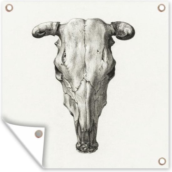 Muurdecoratie buiten Schedel van een koe - schilderij van Jean Bernard ...