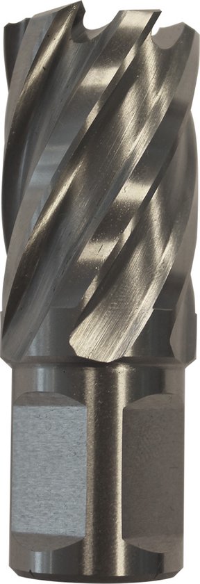 Kernboor weldon MW-Tech HQL5045 | bol