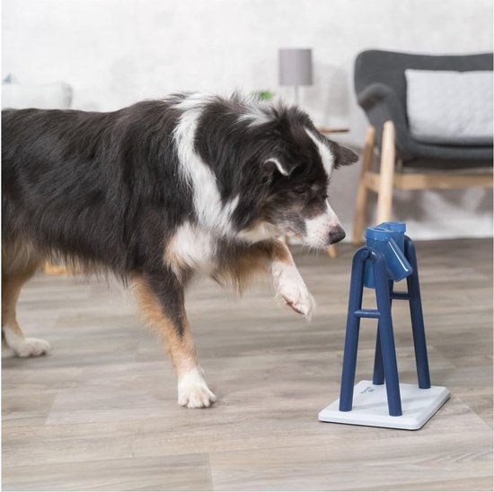 Honden Activiteiten Spel - Strategiespel voor Honden, Niveau 2, 22 x 33 ...