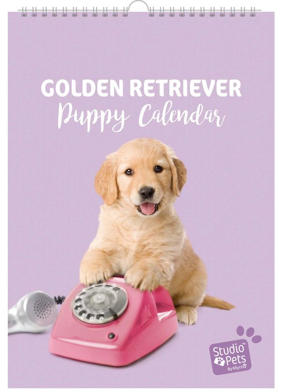 Studio Pets® A4 Golden Retriever Honden Verjaardag Kalender ...