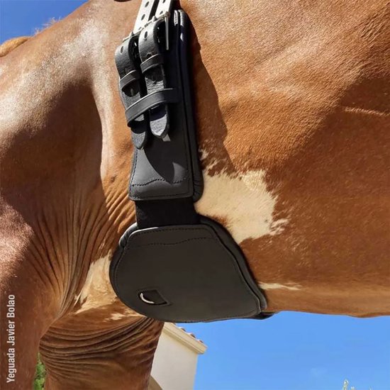 Omega Line Omega Model Elastics Dressuur Paardensingel Zwart 65 cm | bol