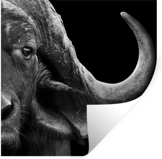 Muurstickers - Sticker Folie - Buffalo - Dieren - Zwart - Wit - 120x120 cm - Plakfolie... | bol