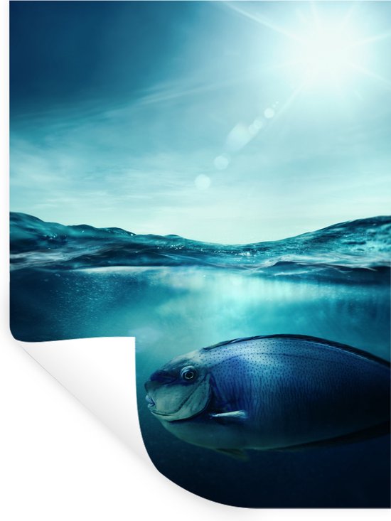 Muurstickers - Sticker Folie - Vis - Zee - Blauw - 120x160 cm ...