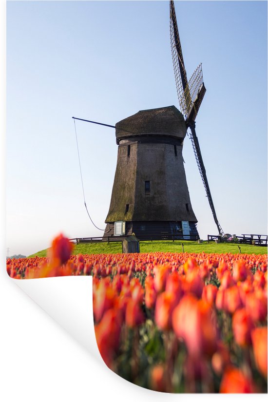 Muurstickers - Sticker Folie - Een molen met tulpen - 40x60 cm ...