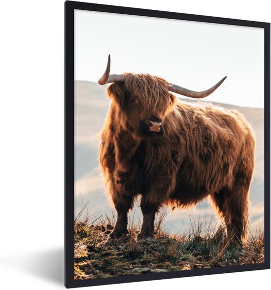 Fotolijst - Schotse hooglander - Koe - Berg - Poster - Frame poster ...