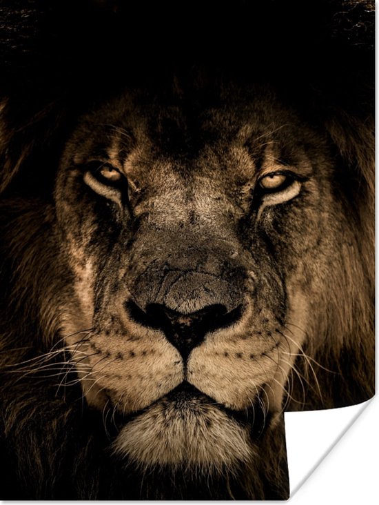 Poster Leeuw - Dieren - Zwart - Portret - 30x40 cm | bol