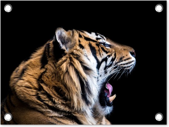 Tuin decoratie Tijger - Dieren - Portret - 40x30 cm - Tuindoek - Buitenposter | bol