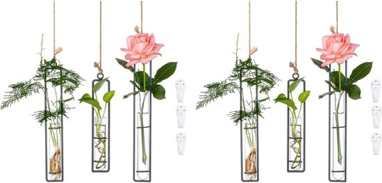 Plant Propagation Station Wandvaas Set Van 6 Glazen Vazen Voor Bloemen ...