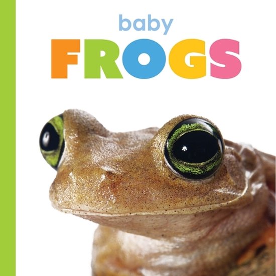 Baby Frogs, Kim Thompson | 9798889897460 | Boeken | bol