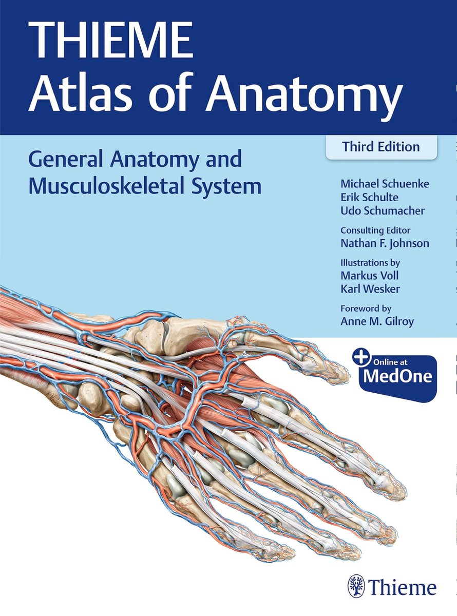 Thieme Anatomy Atlas THIEME Atlas Of Anatomy: Review | Kenhub
