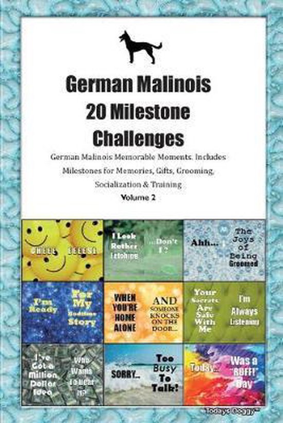 German Malinois 20 Milestone Challenges German Malinois Memorable ...