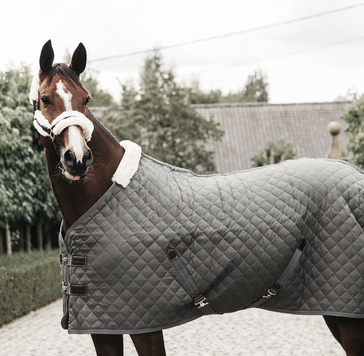 Kentucky Stable Rug 400g - Black - Maat 165/215 | bol.com