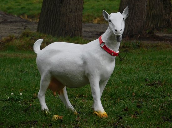 Geit - wit - polystone - gedetailleerd | bol