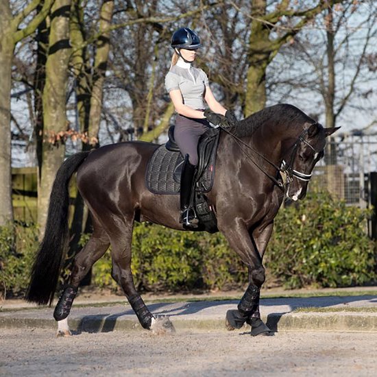 Lemieux Zadeldek Carbon Mesh Air Dressage - Zwart - dressuur Paard ...