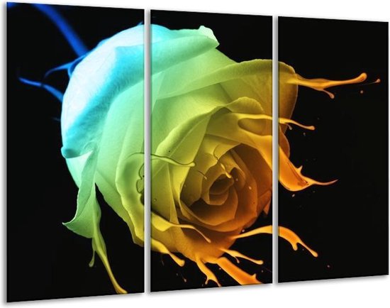 GroepArt - Schilderij - Roos - Groen, Blauw, Oranje - 120x80cm 3Luik ...