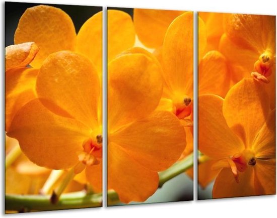 GroepArt - Schilderij - Orchidee - Oranje, Geel - 120x80cm 3Luik - 6000 ...