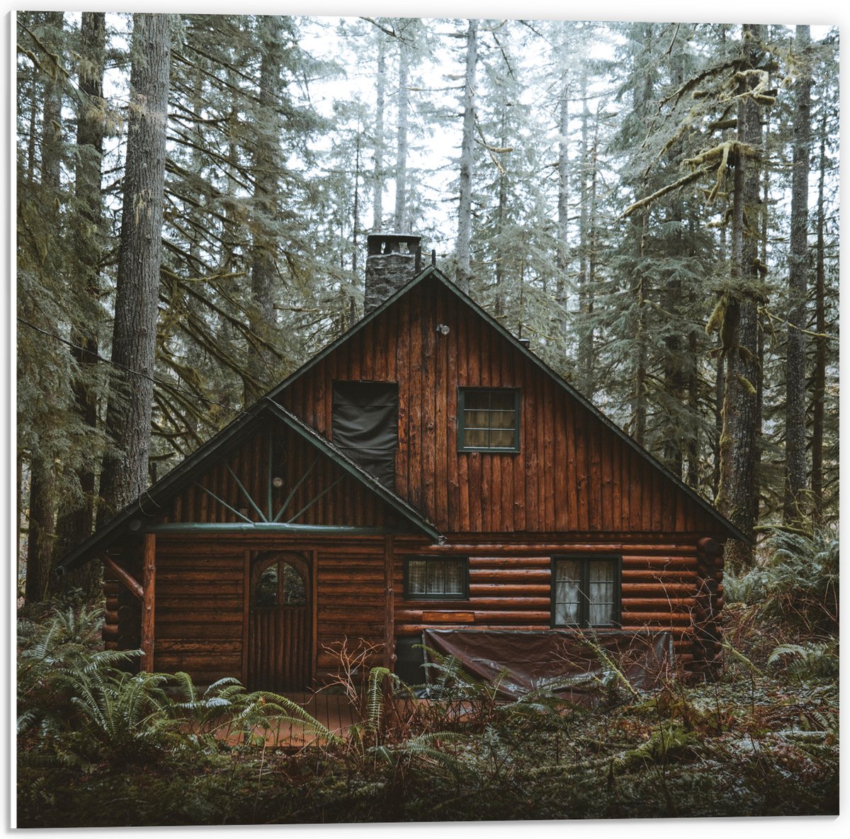 PVC Schuimplaat - Houten Huisje in het Bos - 50x50 cm Foto op PVC ...