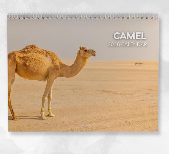 Wandkalender 2026: Maandkalender A4 met Notities, Feestdagen en ...