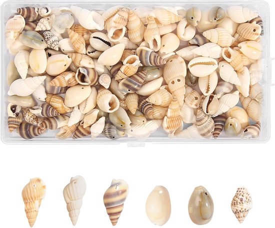 Natuurlijke schelpen voor doe-het-zelf knutselen, 120 stuks in 6 ...