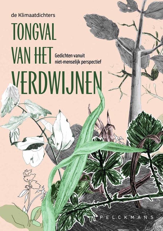 Tongval van het verdwijnen | 9789462348530 | Livres | bol