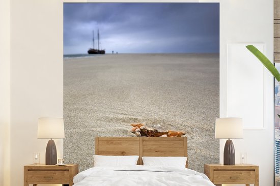 Behang - Fotobehang Een krab op het strand van het Nederlandse ...