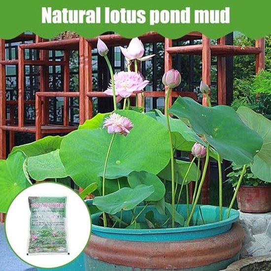 Voedingsklei voor Waterplanten - 200 g Groeimedia voor Schaallotussen ...