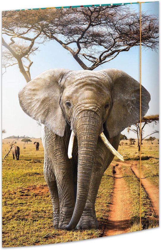 Tekenmap Olifant - Documentenmap A3 met Elastische Sluiting | bol