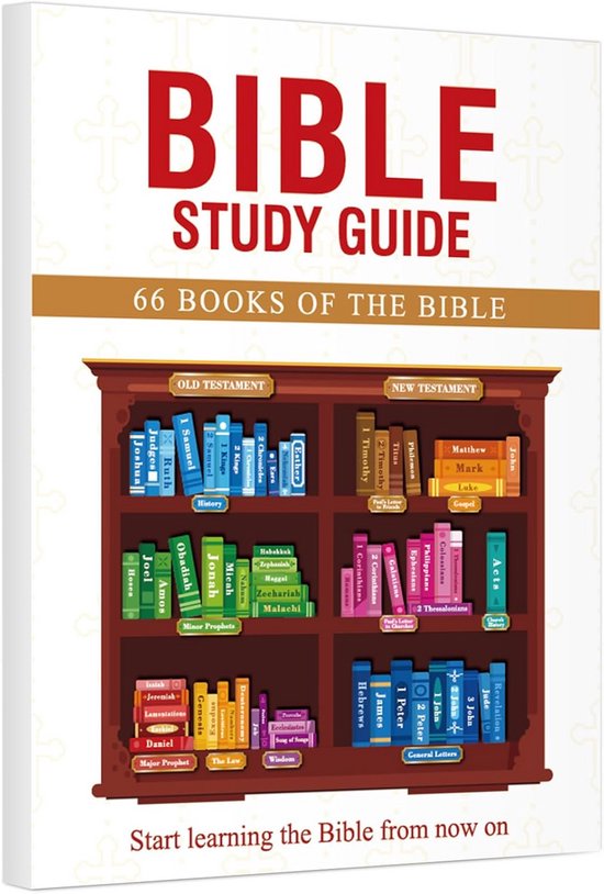 Chronologische Gids voor de 66 Boeken van de Bijbel: Studieboek voor ...