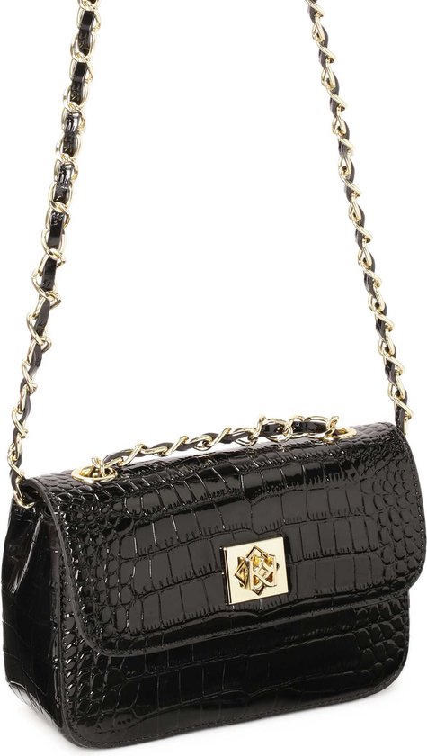 Lacquered small leather handbag | bol