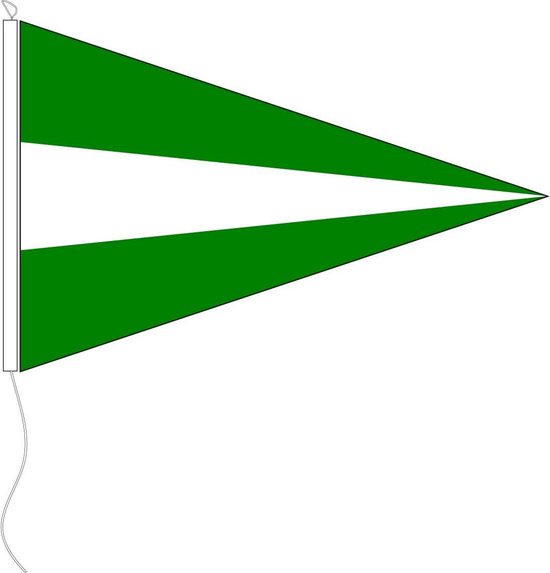 Vlag Rotterdam Punt 50 x 75 cm | bol.com