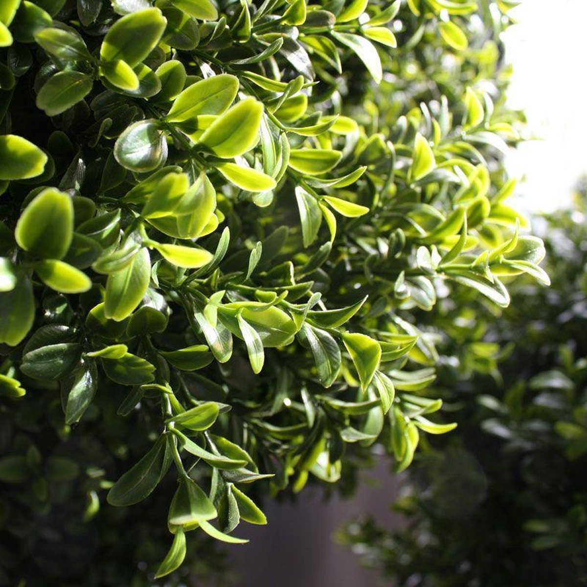 Buxus Bol Deluxe Kunstplant 40cm Bol