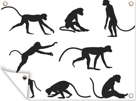 Muurdecoratie buiten tekening van de silhouetten van slingerapen ...