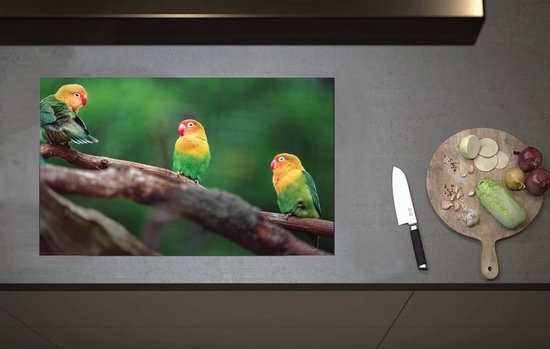 Inductieplaat Beschermer - Trio van Blije Kleurrijke Vogels op Takken ...