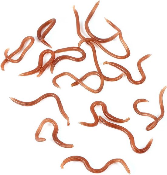 Kunstmatige regenworm 10 cm - Wormvormig visaasaccessoires voor vissen ...