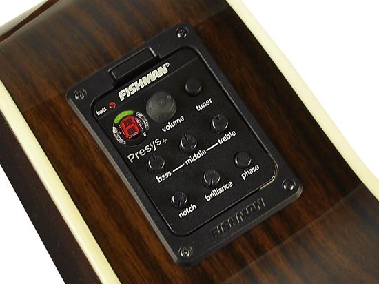 Semi akoestische gitaar Richwood Master Series Auditorium A-65-CEVA | bol