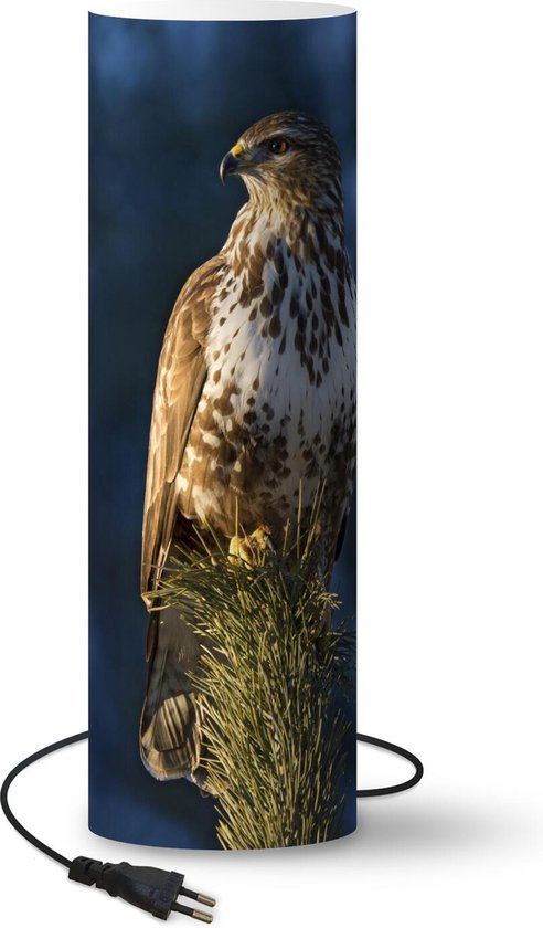 Lampe Buzzard - Buzzard est assis sur un arbre et surplombe les ...