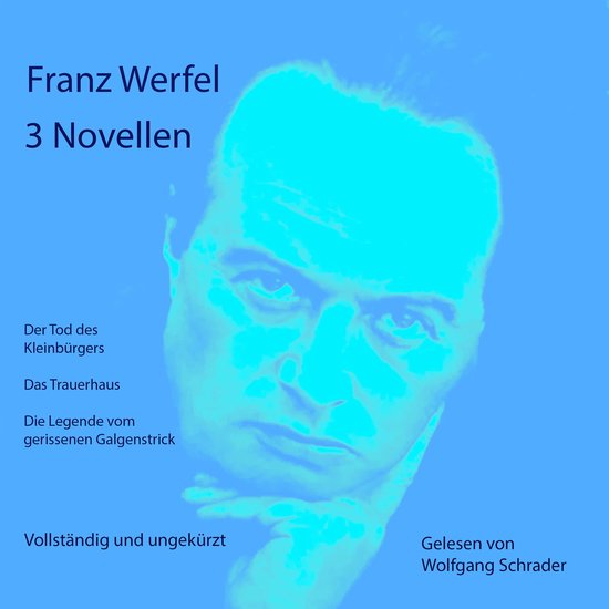 3 Novellen, Franz Werfel | 9783986460044 | Boeken | bol