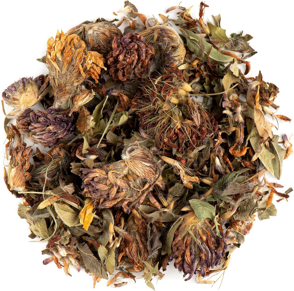 Thé Bio Fleur de trèfle rouge - Bloem de trèfle rouge séchée - Thee aux ...