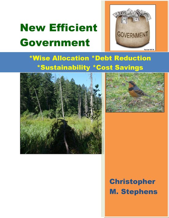 New Efficient Government (ebook), Christopher Stephens | 9781476099385 ...