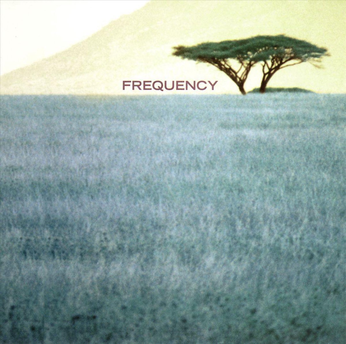 Frequency - Frequency (CD), Frequency | CD (album) | Muziek | bol.com