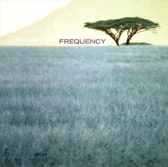 Frequency - Frequency (CD), Frequency | CD (album) | Muziek | bol.com