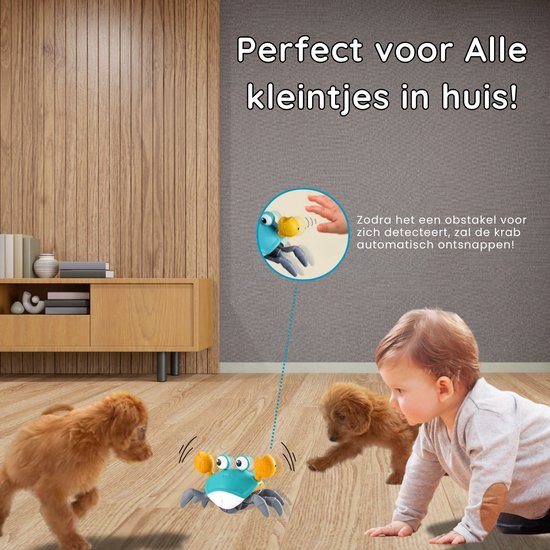 Boncy® Dansende Krab - Lopende Walking Crab - Tummy Time - Bewegend ...