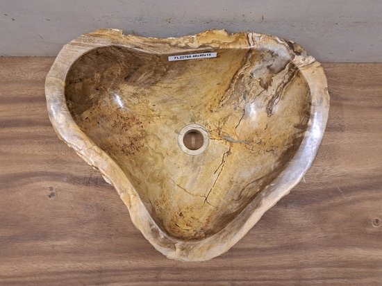 Waskom van versteend hout - 48x40x15cm - FL22769 | bol