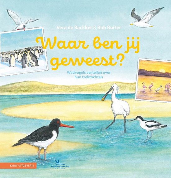 Waar ben jij geweest?, Rob Buiter | 9789050119573 | Boeken | bol