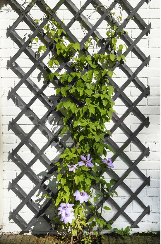 Nature - Houten Klimrek 150 x 50cm - Klim-En Geleide Artikel ...